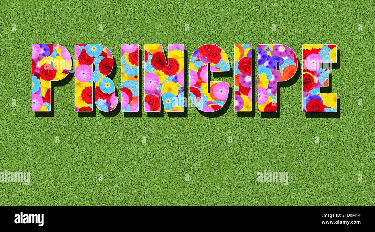 the Italian and Spanish word Principe, Prince, written with colourful ...