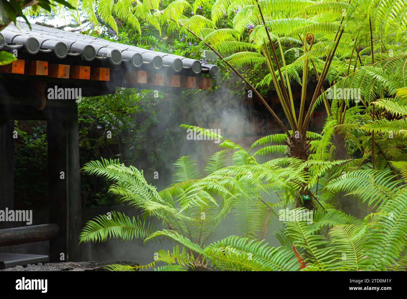 Dark tropical Japanese garden landscape with steam waterfall in summer ...