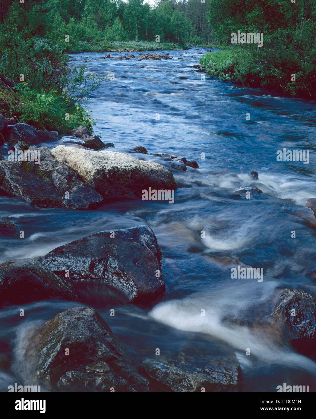 Small river stream on hi-res stock photography and images - Alamy