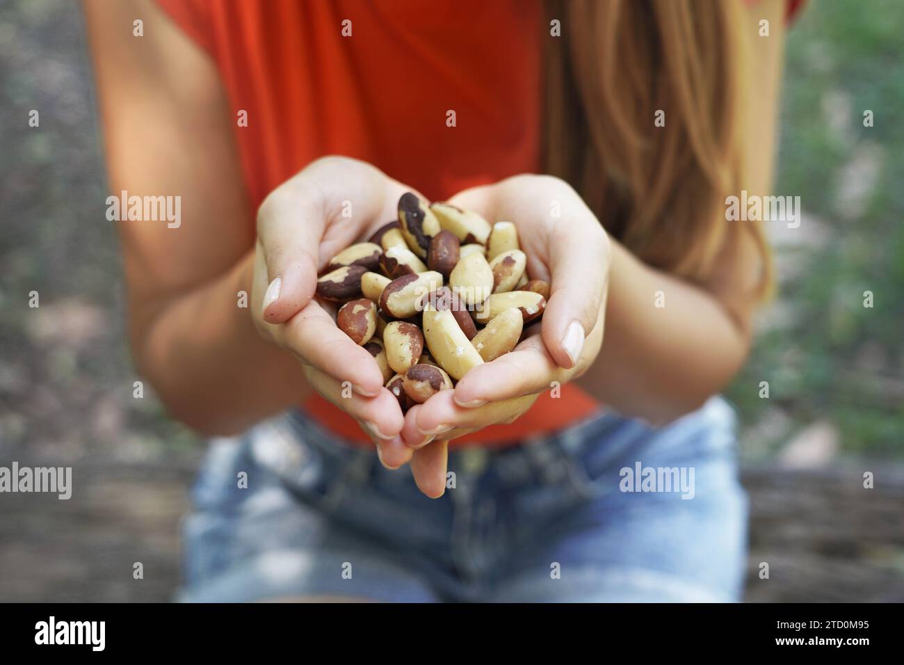 Brazil nuts. Close-up of female hands holding Brazil nuts. Outdoors ...