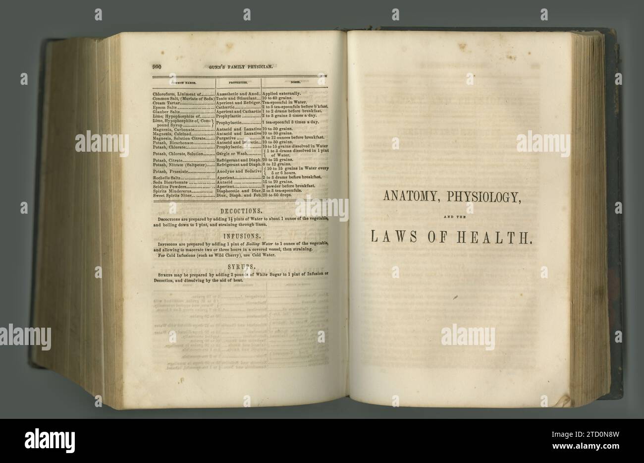 Old book, vintage pages and chapter of anatomy in manuscript, ancient ...