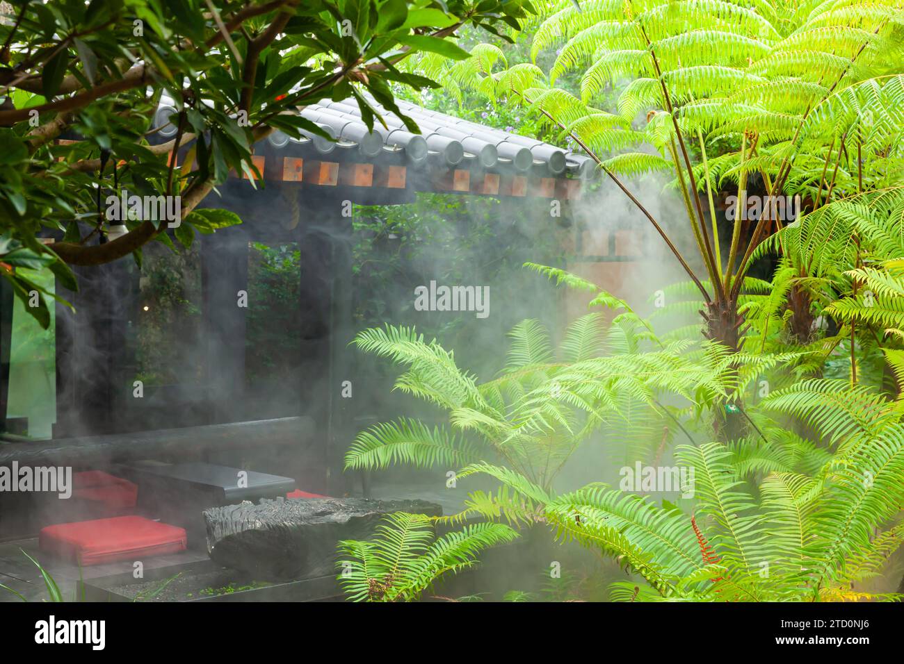 Dark tropical Japanese garden landscape with steam waterfall in summer ...
