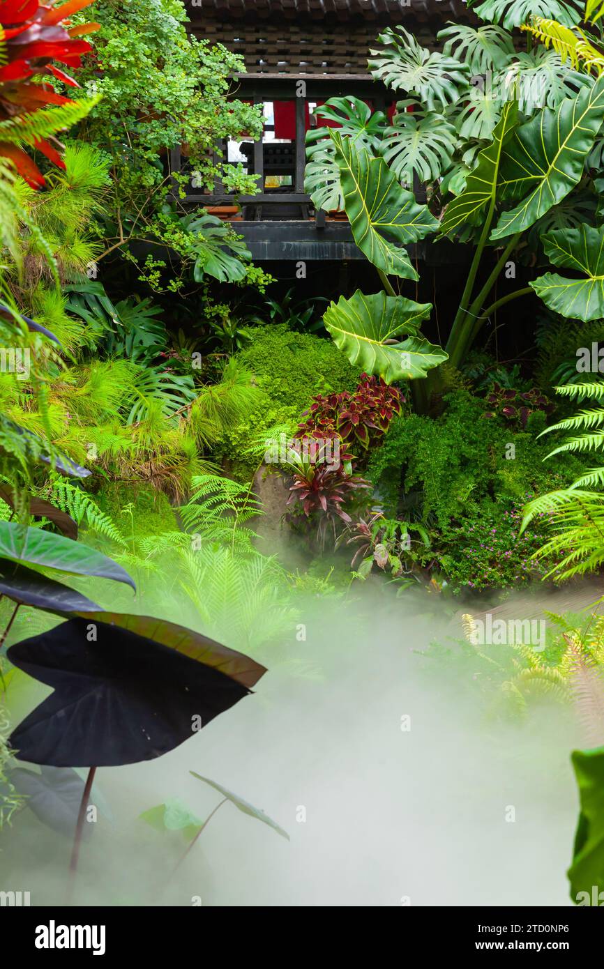 Dark tropical Japanese garden landscape with steam waterfall in summer ...