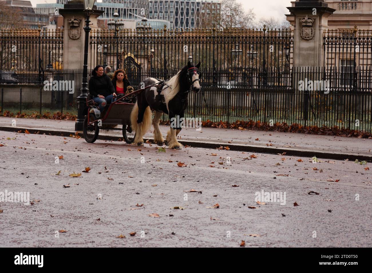 Winter sun in London Stock Photo - Alamy