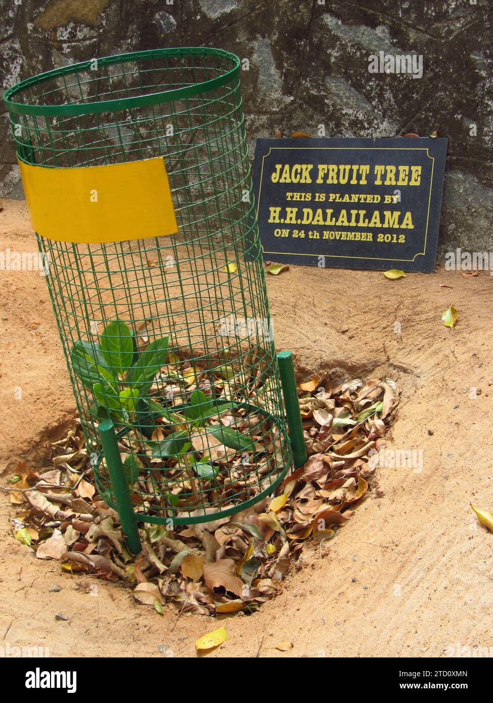 the various forms of the Indian caste system in society the indian ...