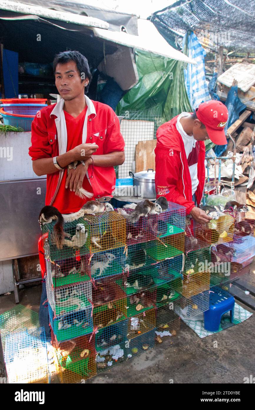 Squirrels for sale at the animal market in Bangkok Thailand Stock Photo ...