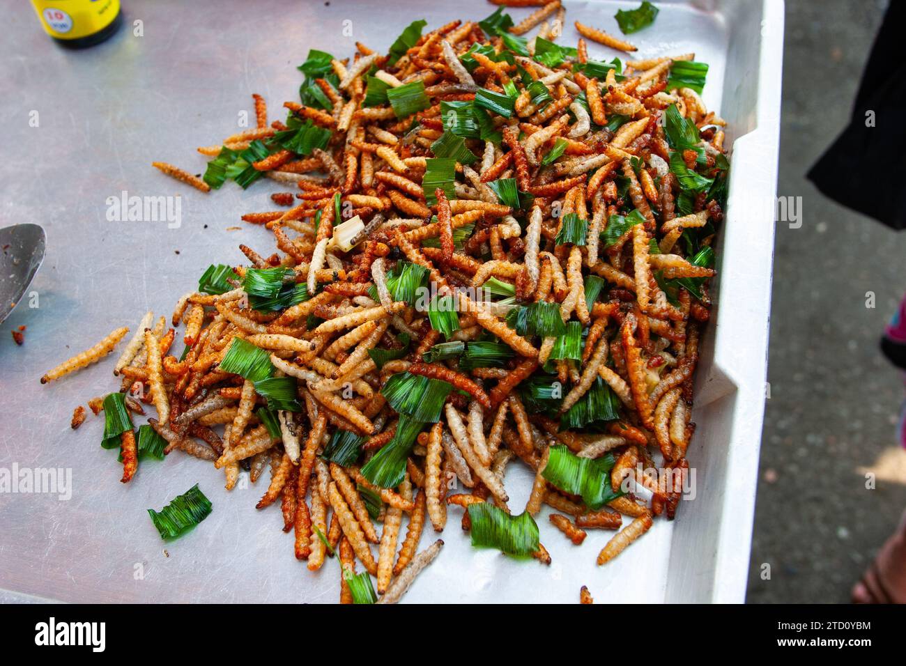 Larvae of insects hi-res stock photography and images - Alamy