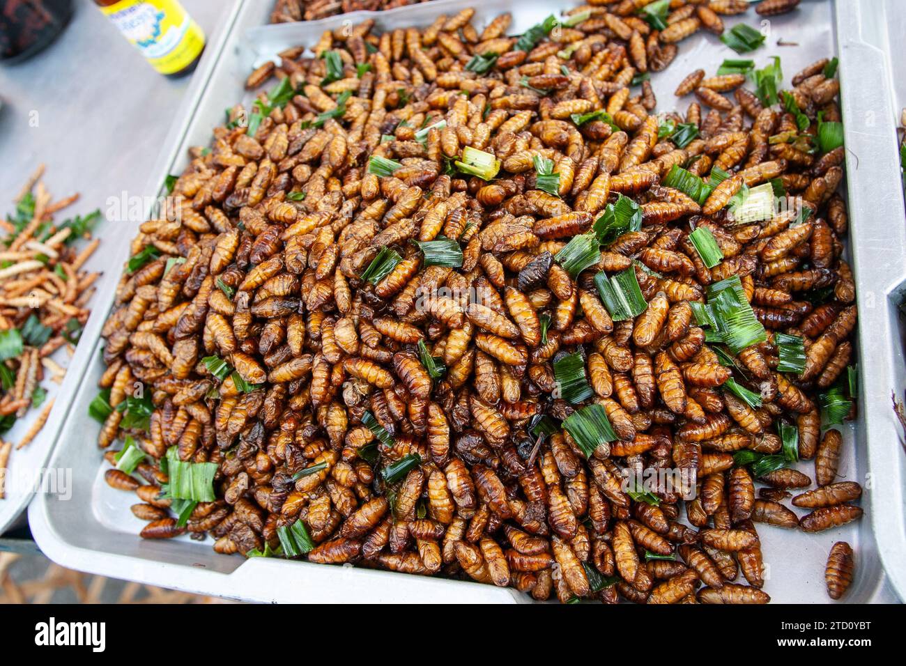 Edible silkworm larvae in the food market in Bangkok Thailand Stock ...
