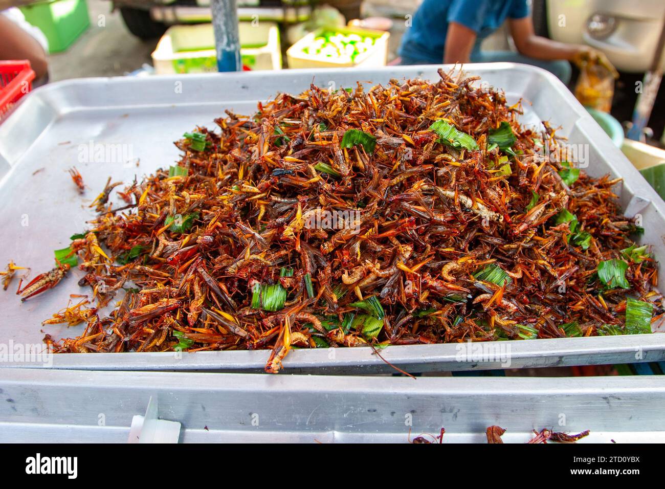 Fried insects at the food market in Bangkok Thailand Stock Photo - Alamy