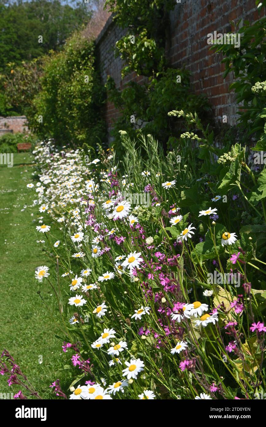 flower border, kentwell hall, suffolk Stock Photo - Alamy