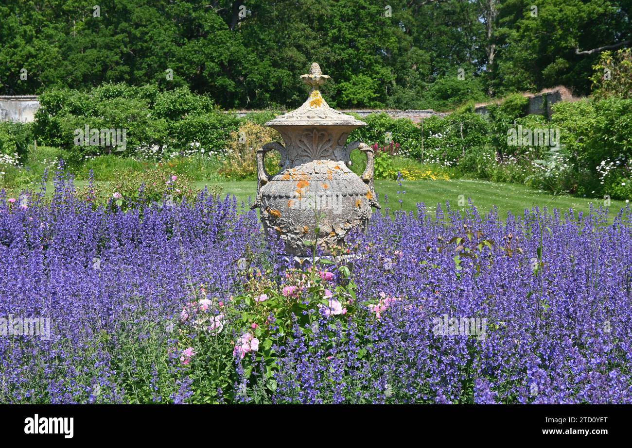 lavender, rose and urn, kentwell hall Stock Photo - Alamy