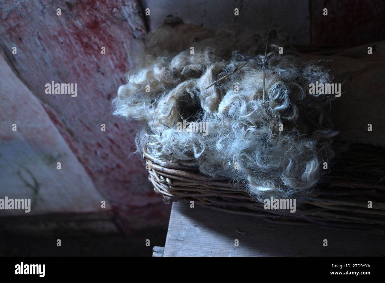The wool hall hi-res stock photography and images - Alamy
