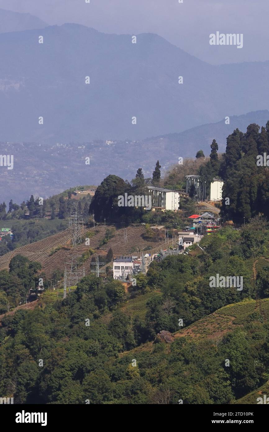 beautiful singamari tea estate and village near darjeeling hill station ...