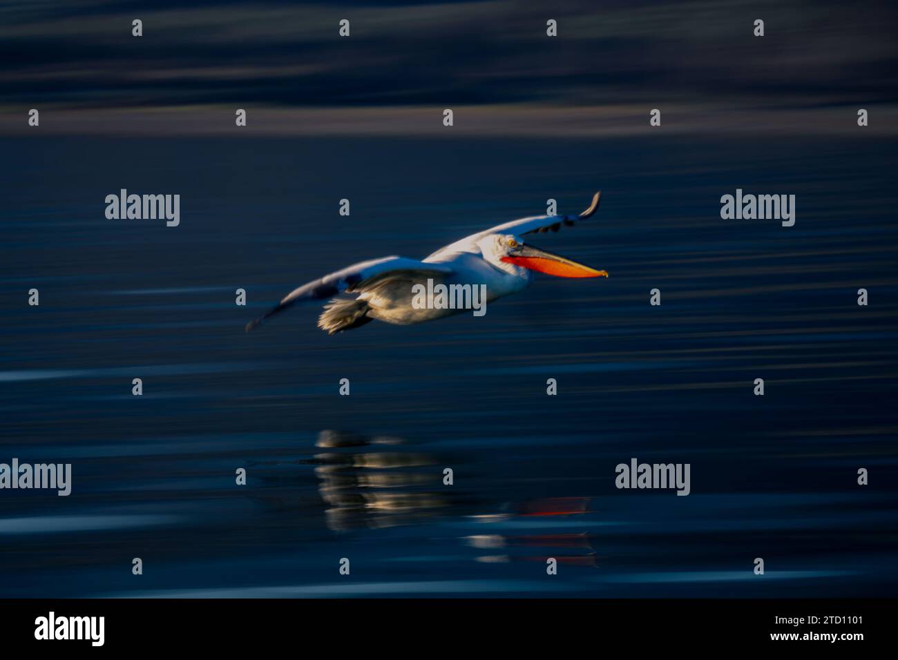 Slow panning shot hi-res stock photography and images - Alamy