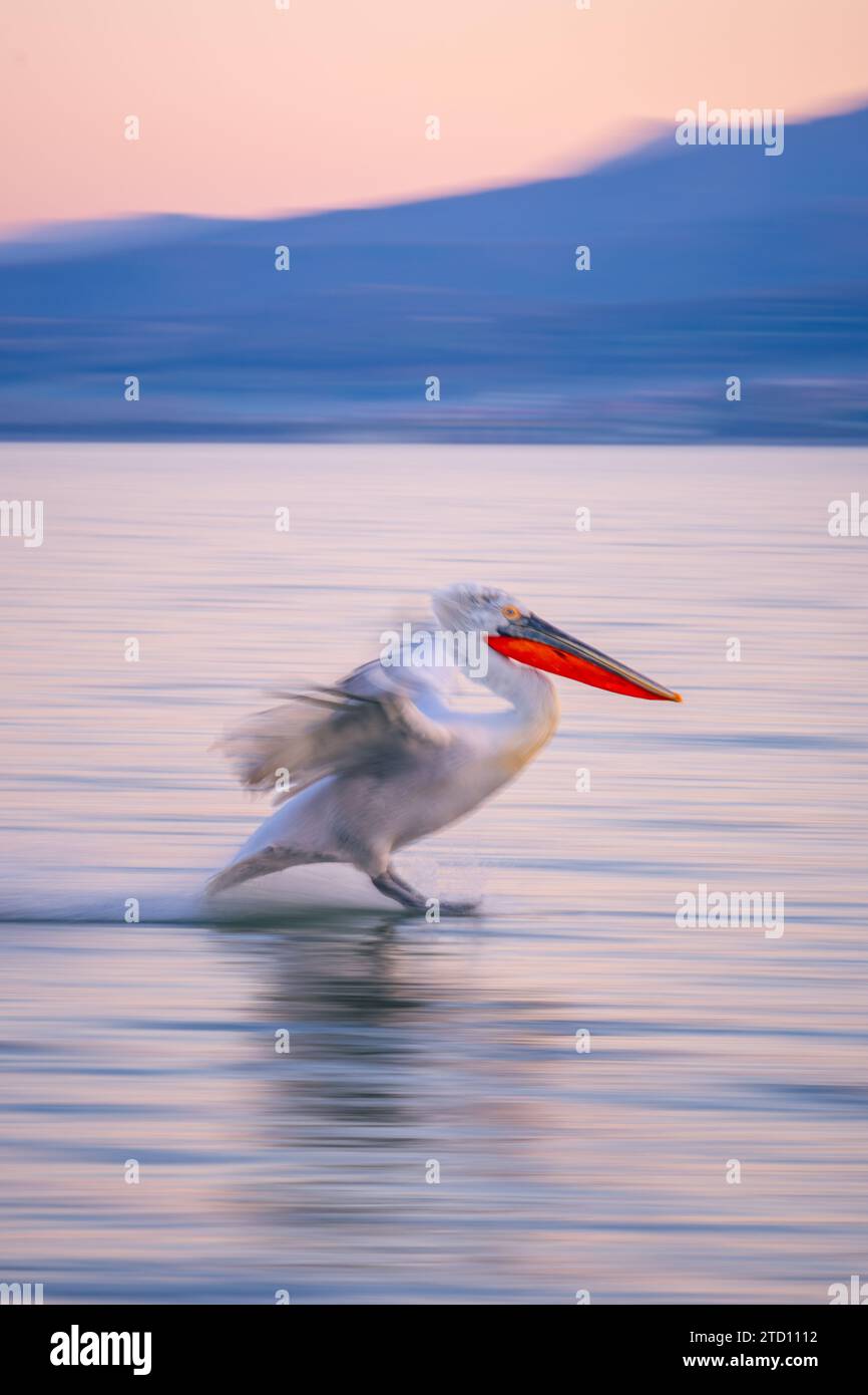 Vertical panning shot hi-res stock photography and images - Alamy