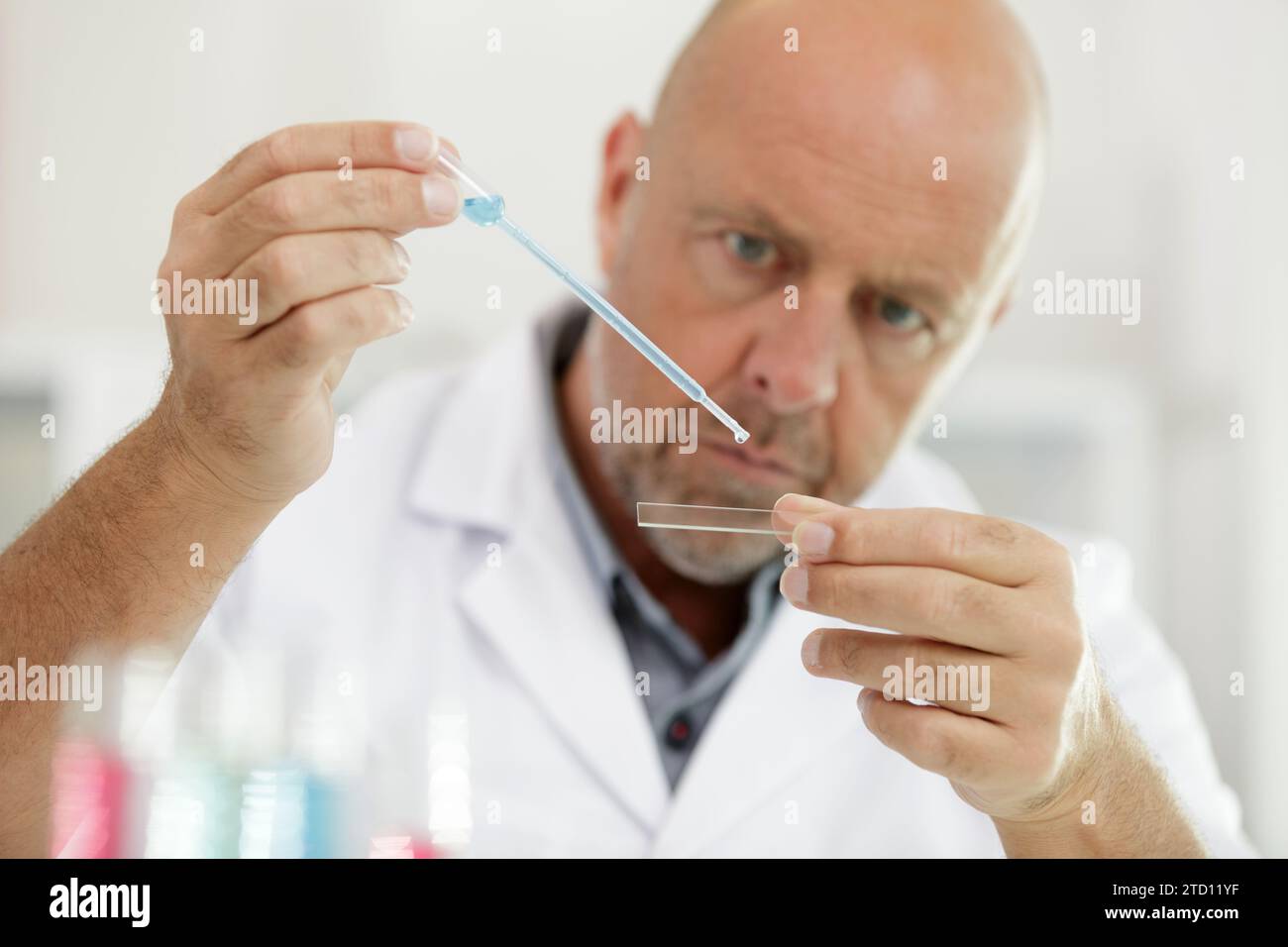 focused senior scientist pipetting biological solution on microscope ...
