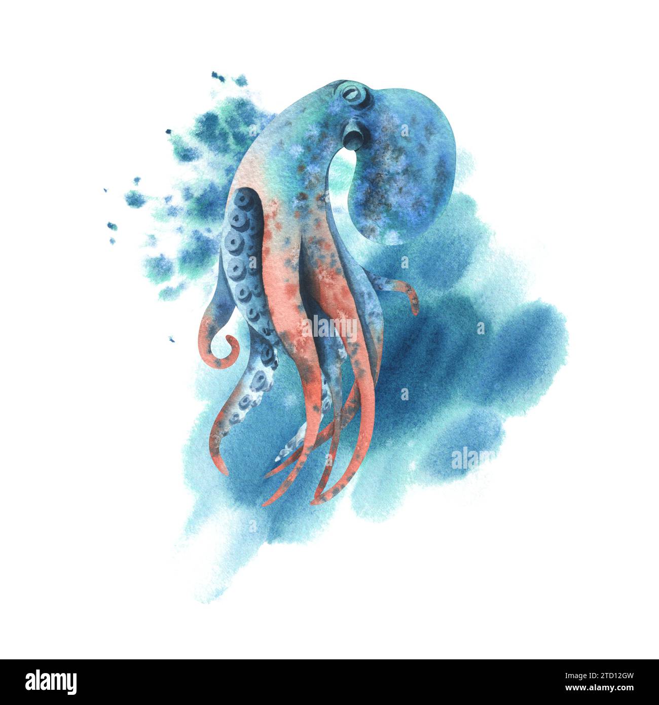 Octopus travel card Cut Out Stock Images & Pictures - Alamy