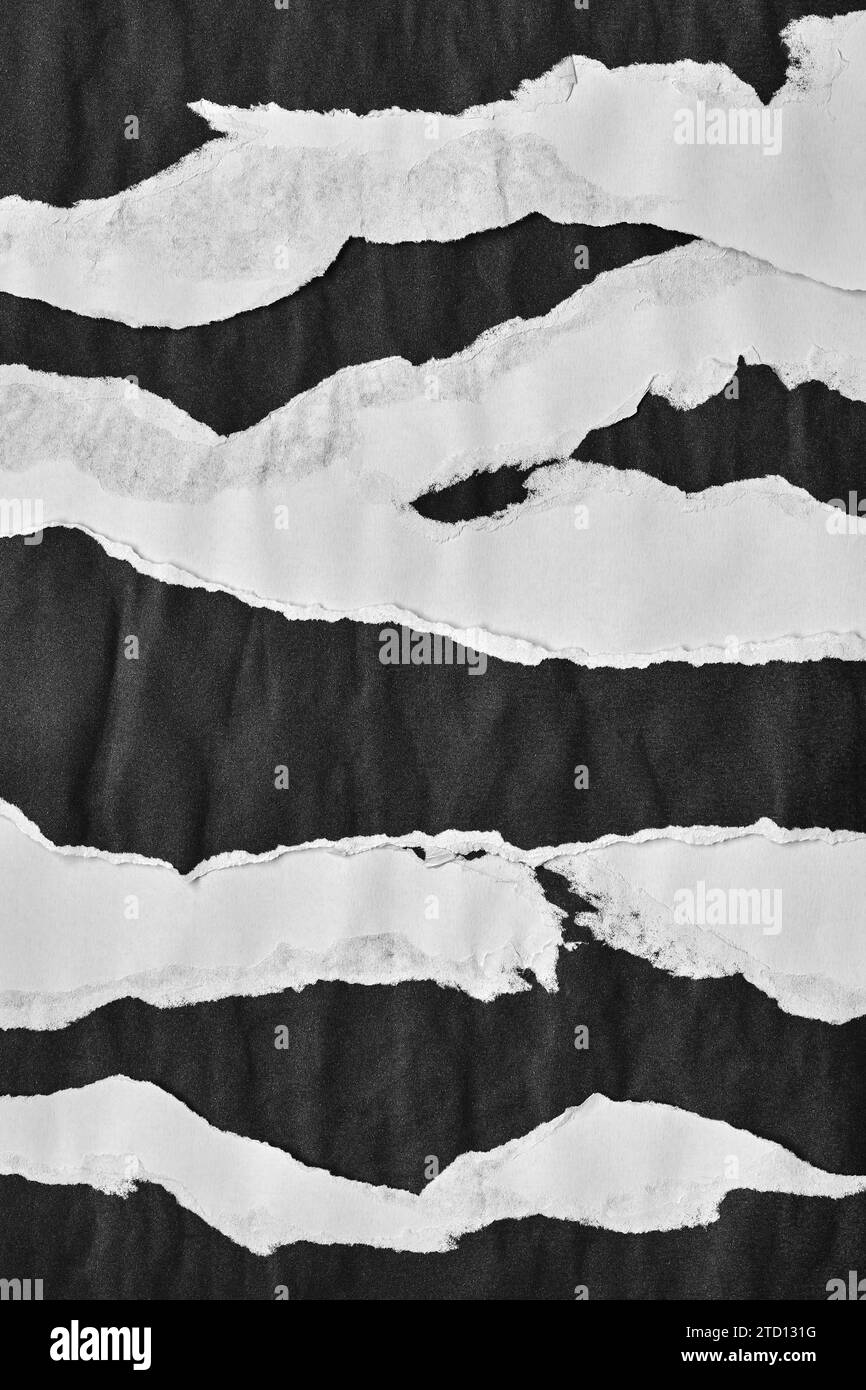 Black and White Torn Paper Collage Style, Ripped Paper Effect, Texture ...