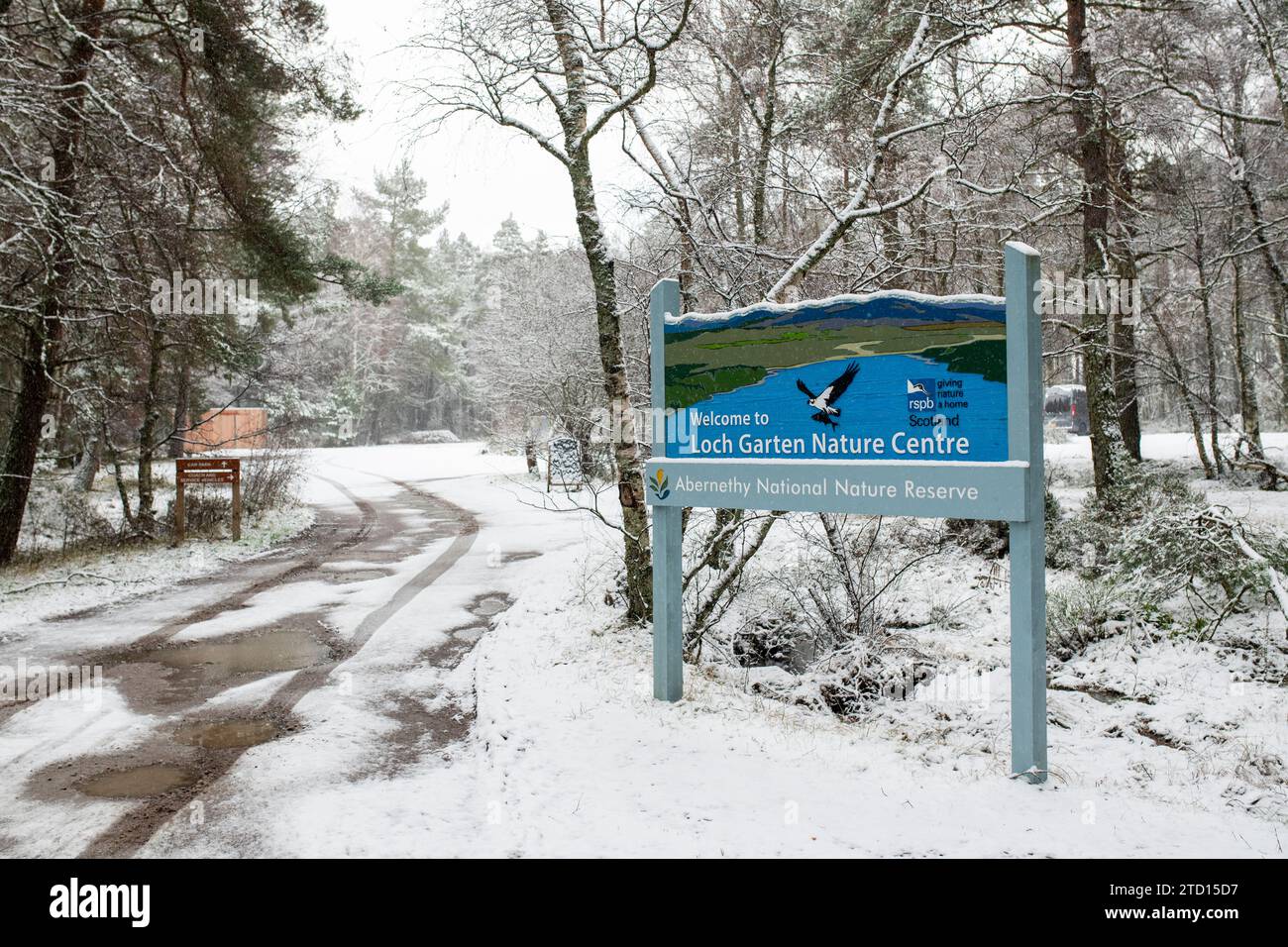 Loch garten nature centre hi-res stock photography and images - Alamy