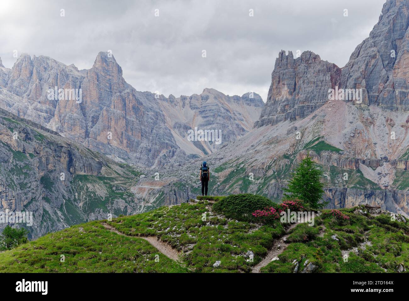 A female person in Cinque Torri admiring the Tofane mountain range in ...