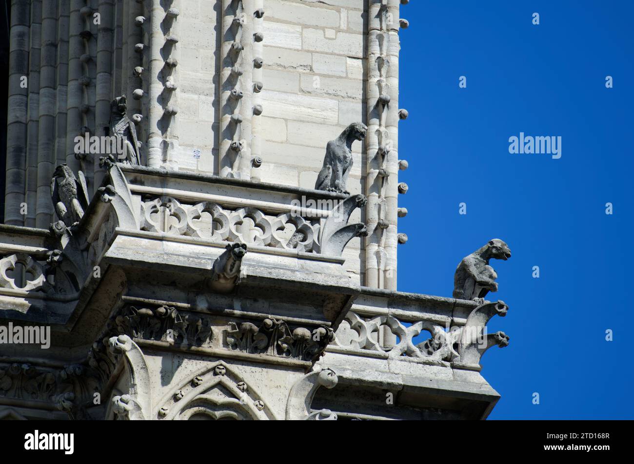 The amazing gargoyles of Notre Dame de Paris in France. A Gothic ...