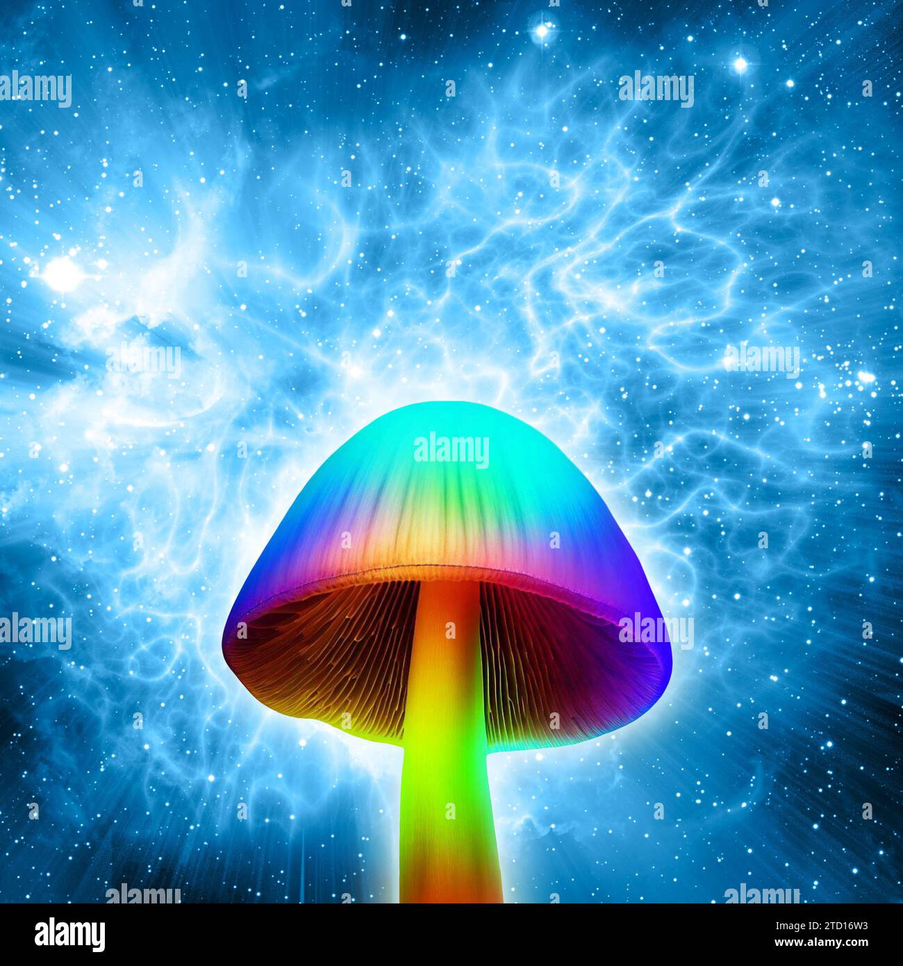 rainbow colors psychedelic mushroom Stock Photo - Alamy