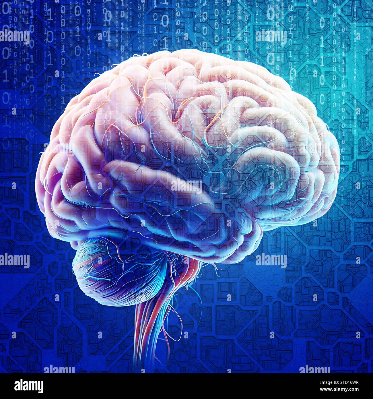 human brain and technology background Stock Photo - Alamy