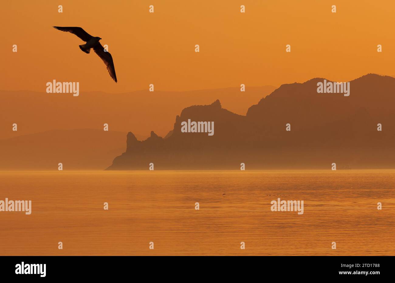 Flying over rock mountain beach hi-res stock photography and images - Alamy