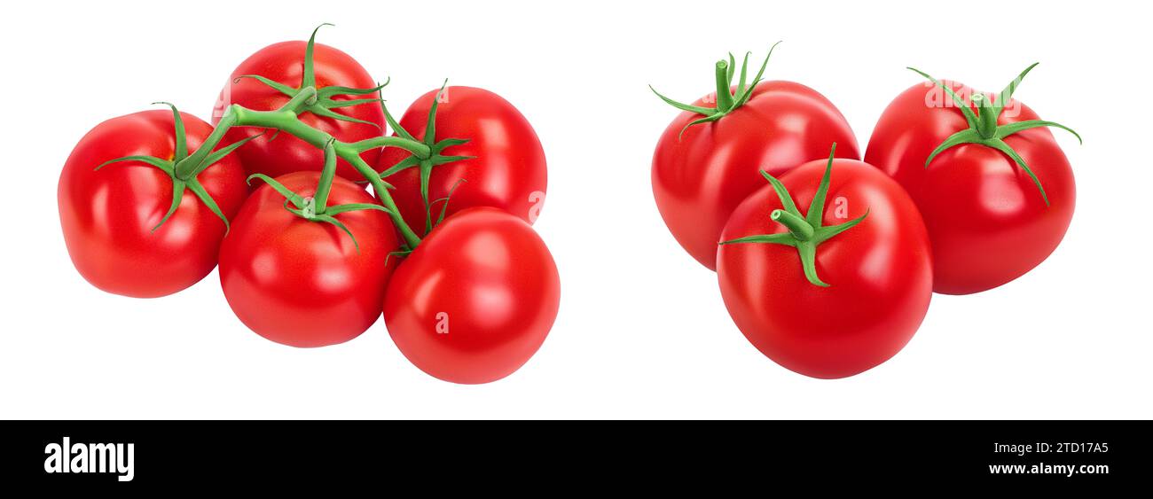 Tomato branch isolated on white background with full depth of field ...