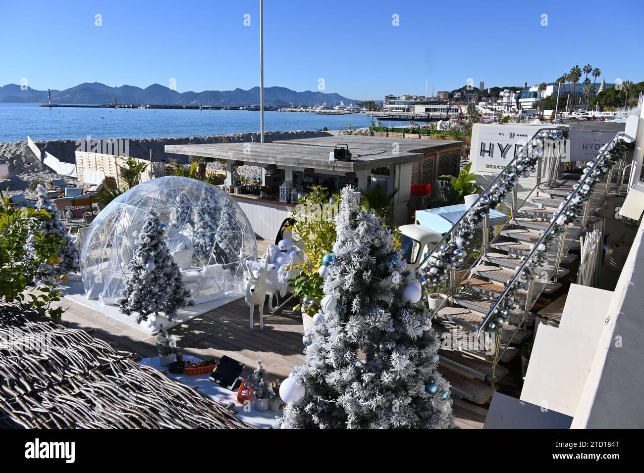 Cannes, France. 15th Dec 2023. Cannes French Riviera, Christmas ...