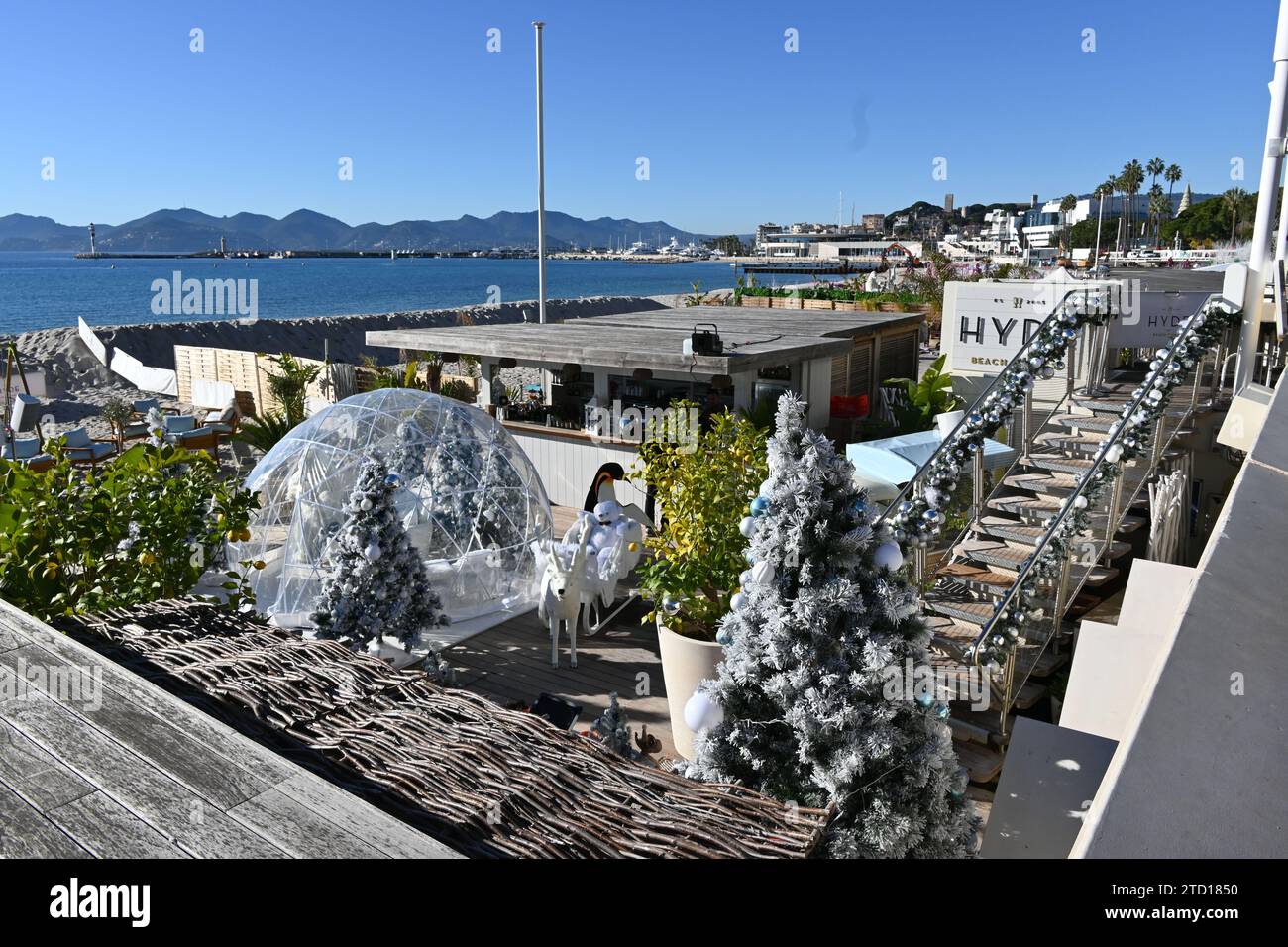 Cannes, France. 15th Dec 2023. Cannes French Riviera, Christmas ...