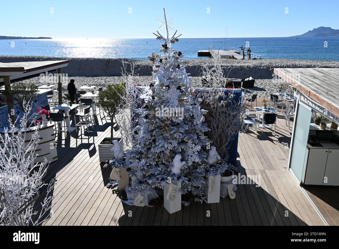 Cannes, France. 15th Dec 2023. Cannes French Riviera, Christmas ...