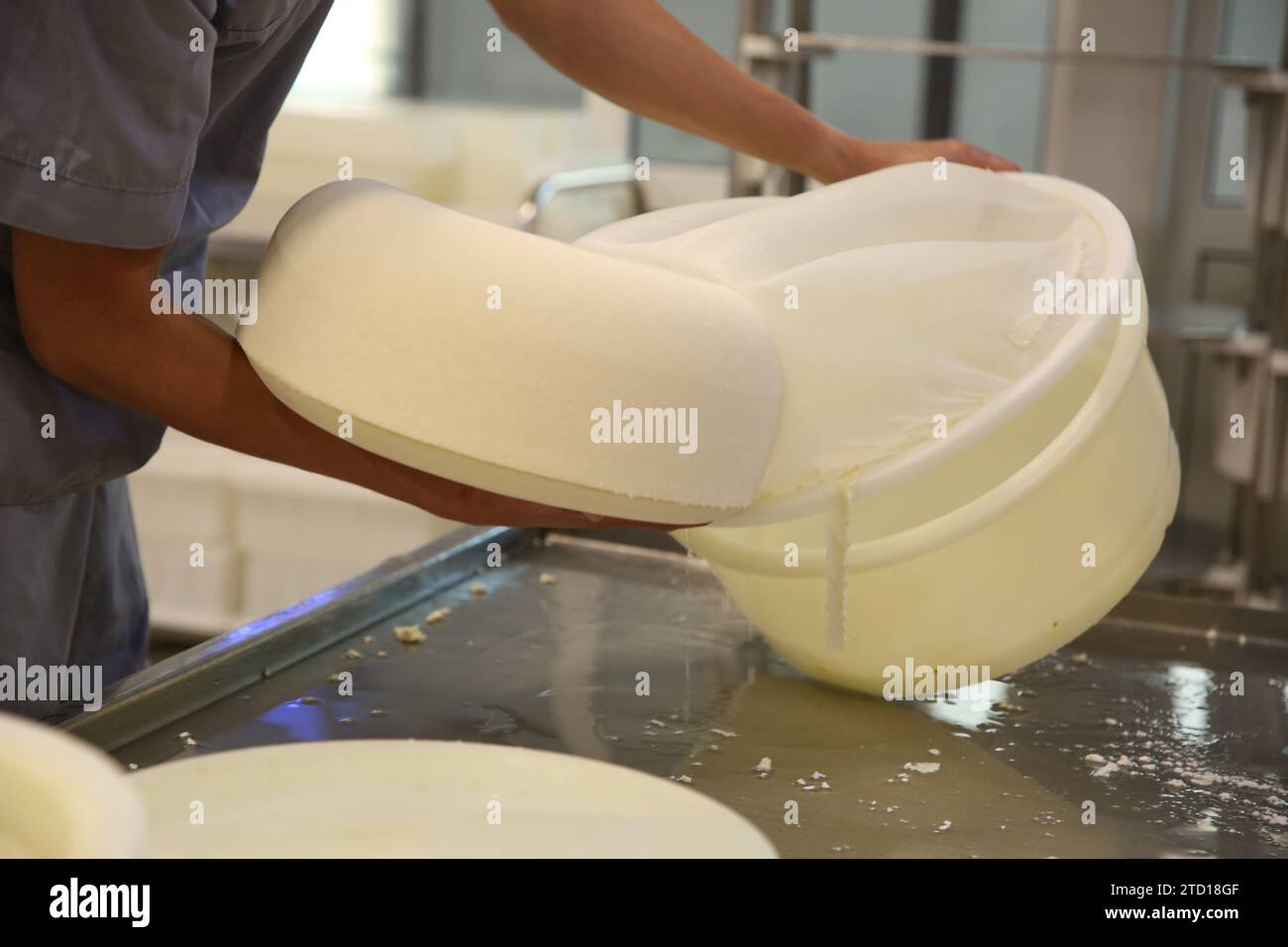 Cheese maker worker taking hi-res stock photography and images - Alamy