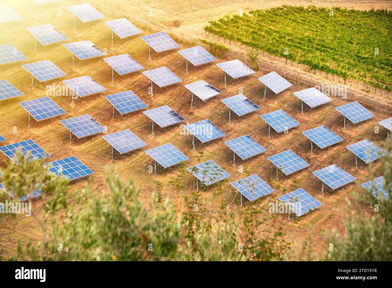 Solar farm. Solar panels in countryside, green energy, invironment ...