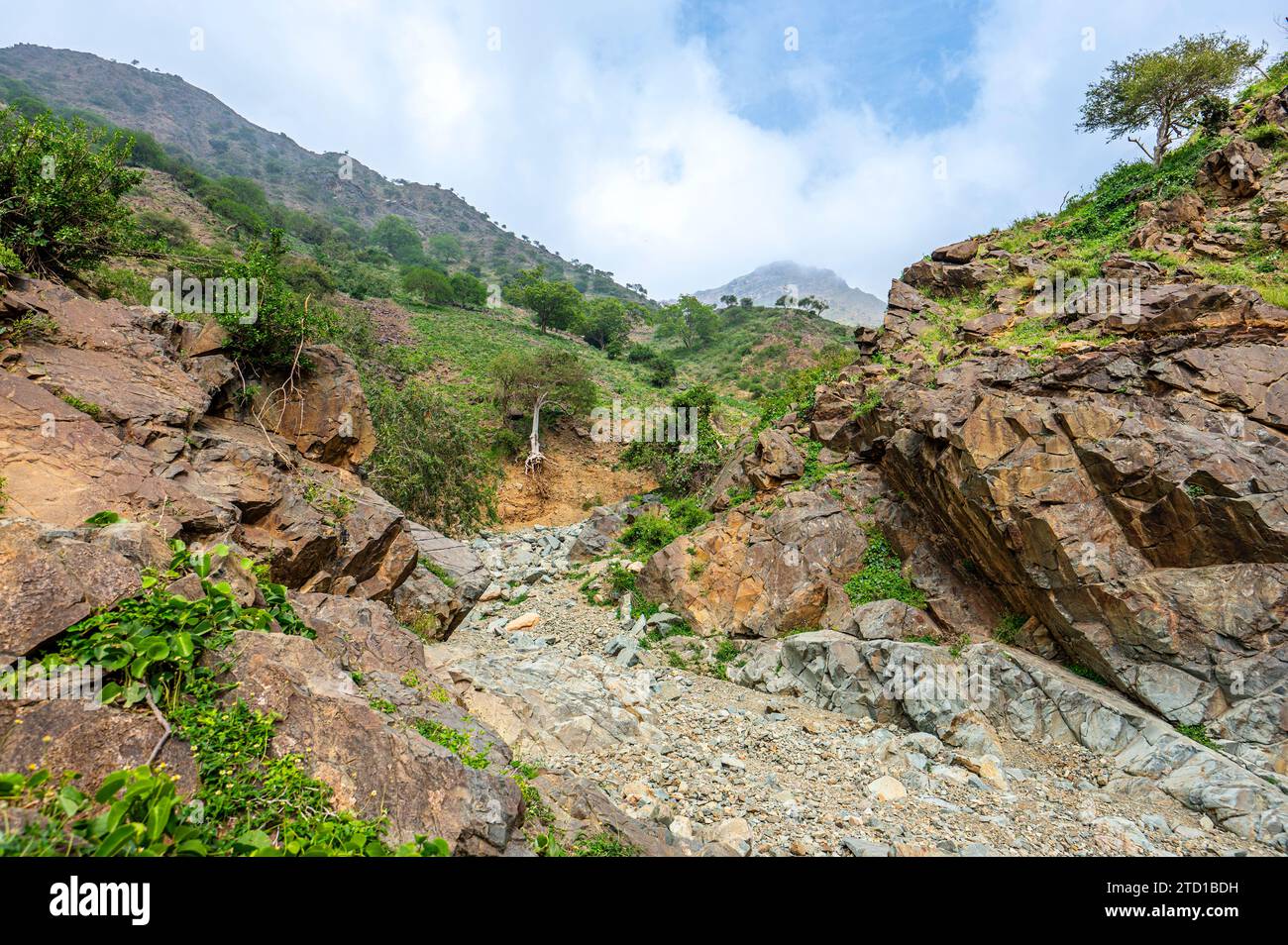 A typical wadi valley of the Arabian Peninsula. The area around the ...