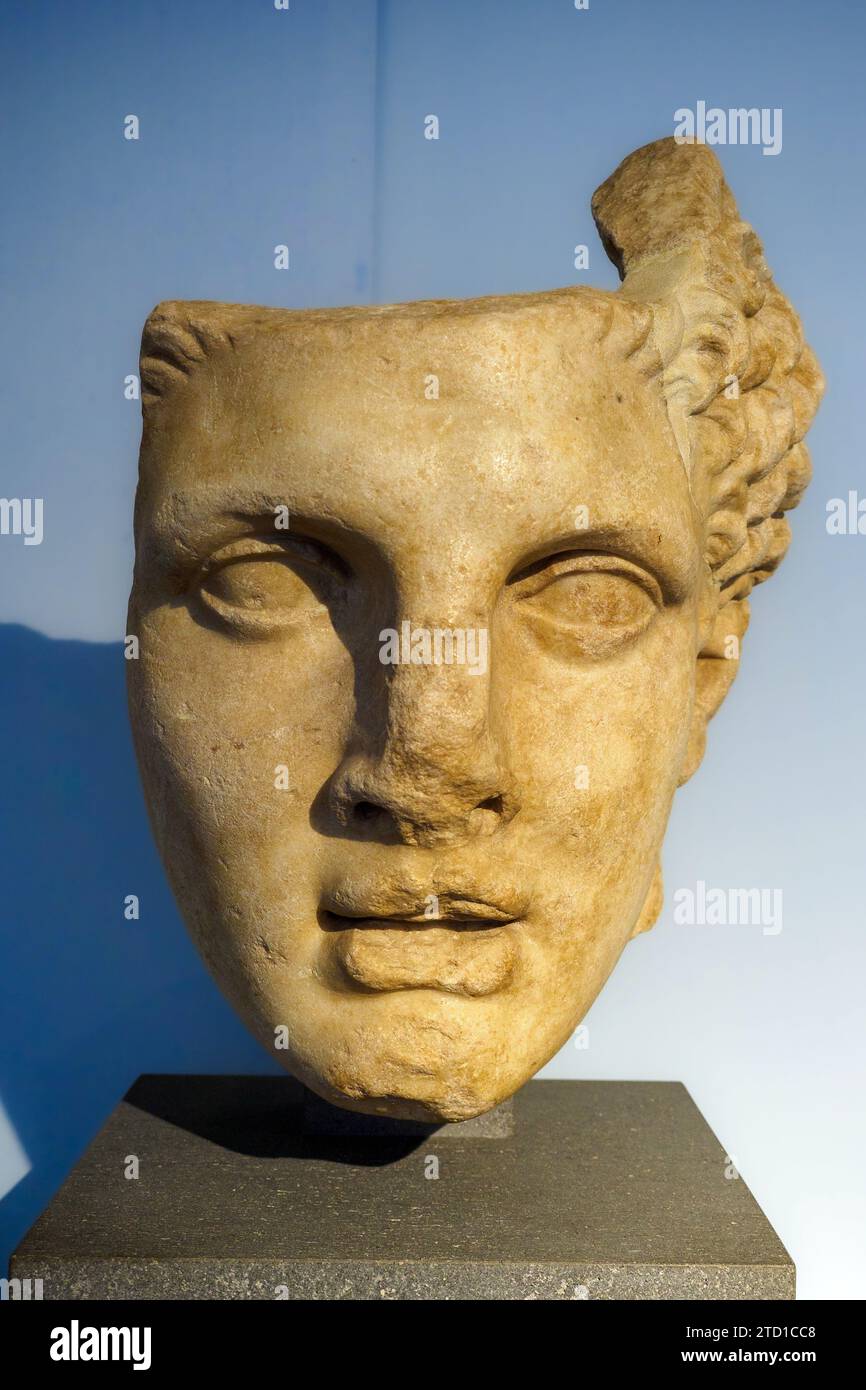 Colossal head of Hercules. Pentelic marble. The statue can be ...