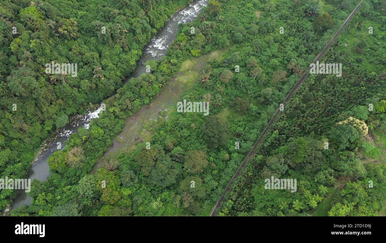 Silent river weaves through the lush forest, a serene dance beneath the ...
