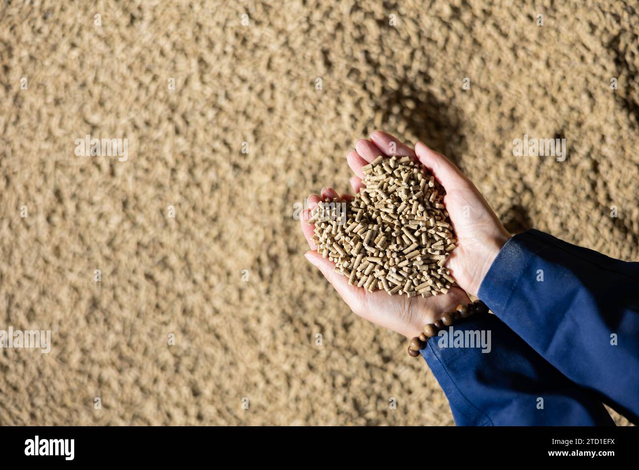 Top view of hands holding calf feed at stock yard Stock Photo - Alamy