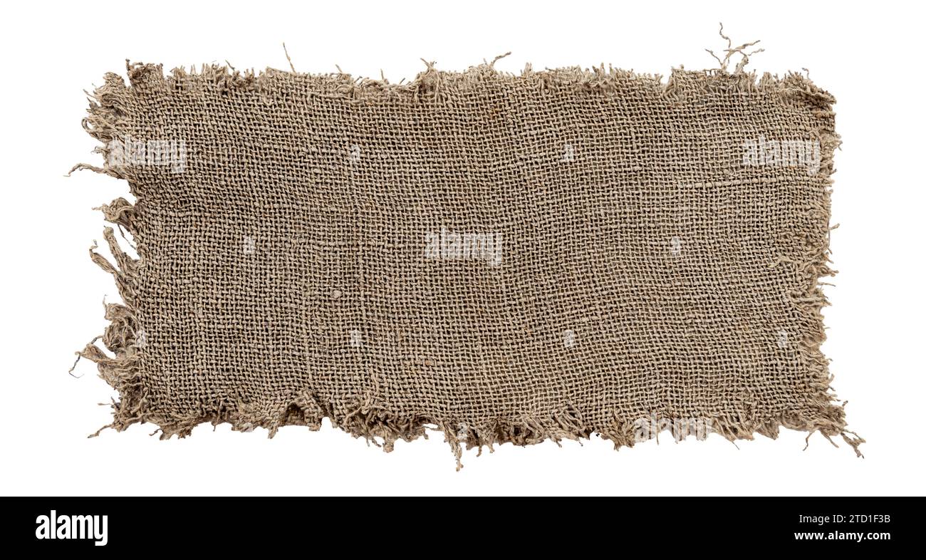 Burlap texture. A piece of torn burlap on a white background. Canvas ...