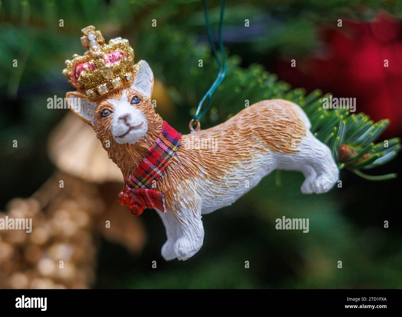 Detail of a corgi wearing a crown hi-res stock photography and images ...