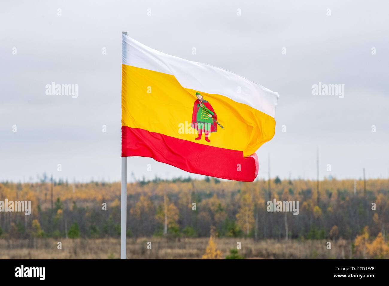 The flag of the Ryazan region of Russia is flying in the wind against a ...