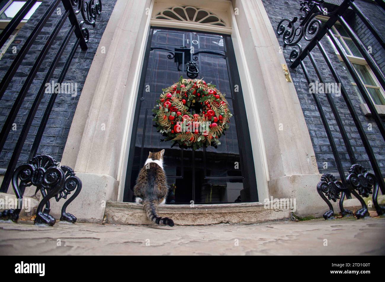 London, UK 15 Dec 2023 Larry the Cat, Chief Mouser to the Treasury, at ...
