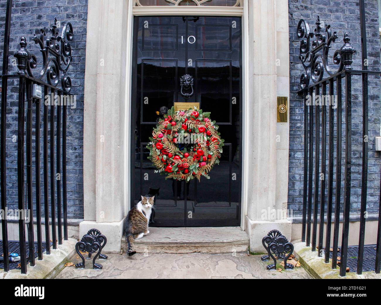 London, UK 15 Dec 2023 Larry the Cat, Chief Mouser to the Treasury, at ...