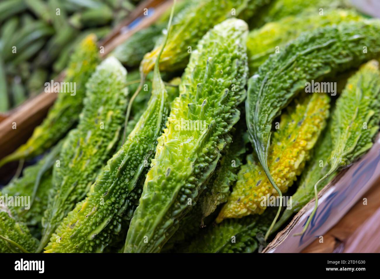 Close-up view of bitter melons in vegetable box Stock Photo - Alamy