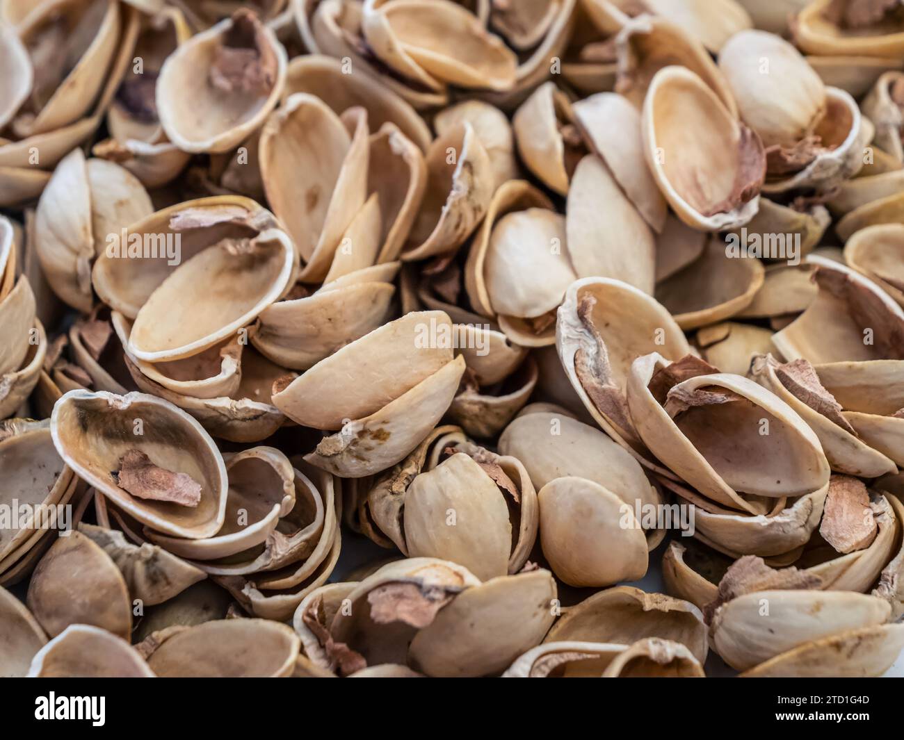 Large pile of empty pistachio shells eaten pistachios remains Stock ...