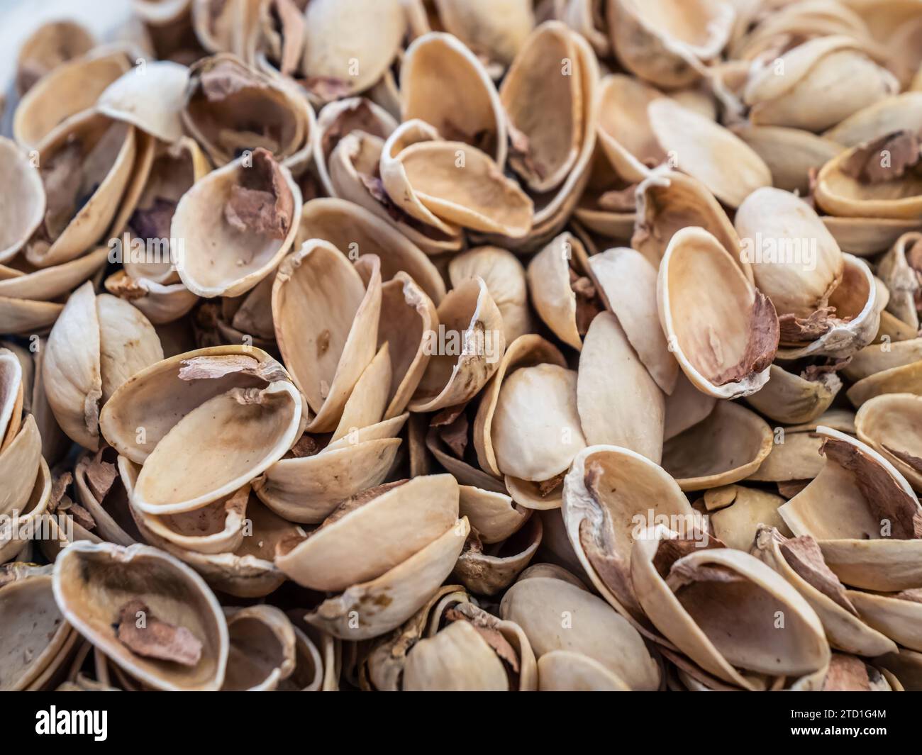 Large pile of empty pistachio shells eaten pistachios remains Stock ...
