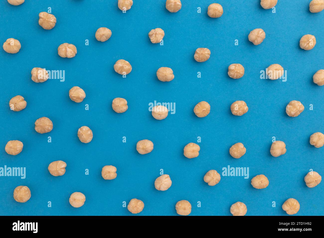 creative food layout, hazelnuts on blue background, top view, concept ...