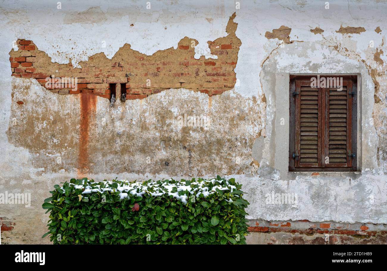 desolate wall of an old farmhouse with partly missing plaster and ...