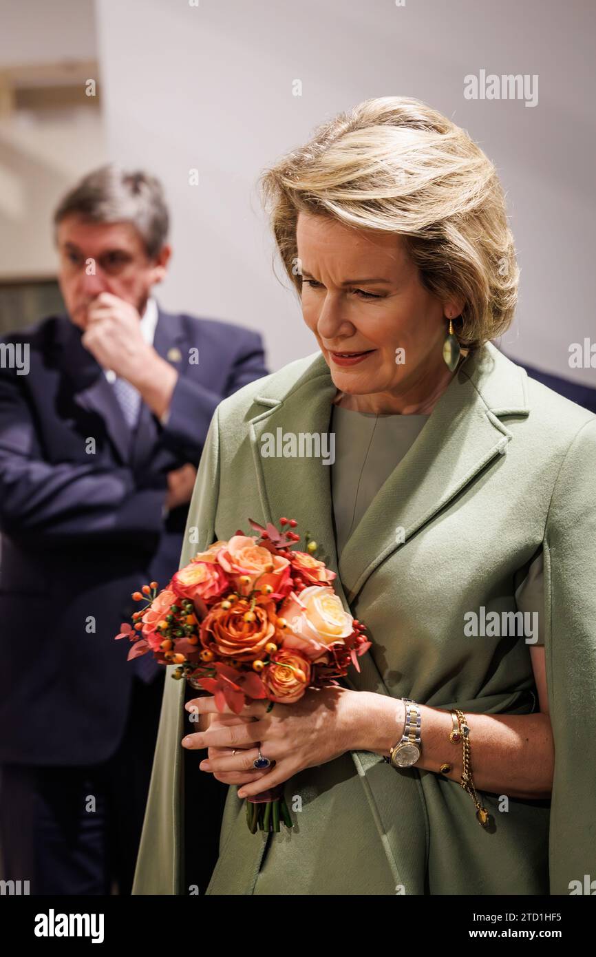 Queen Mathilde of Belgium pictured during a royal visit to the ...