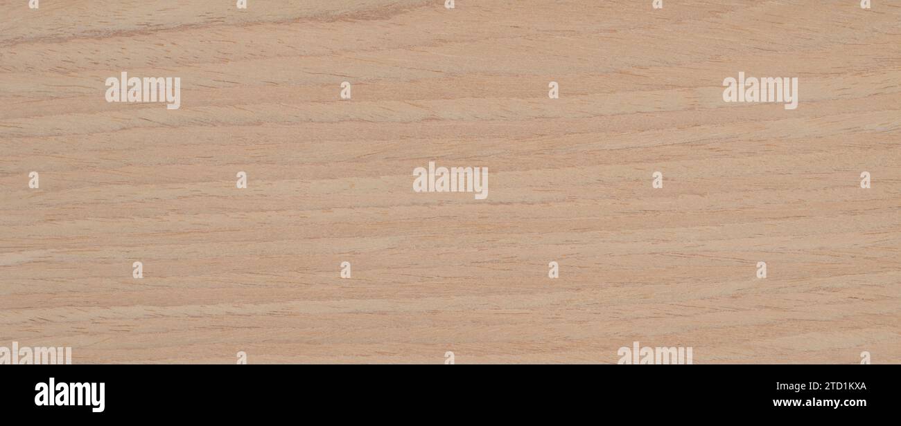 Natural oak wood texture hi-res stock photography and images - Alamy